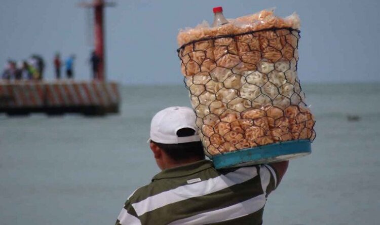 ℹ Pregones Mexicanos Cortos: Significado y Lista con 40 ️